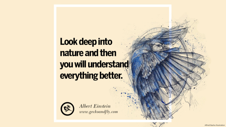 32 Beautiful Quotes About Saving Mother Nature And Earth