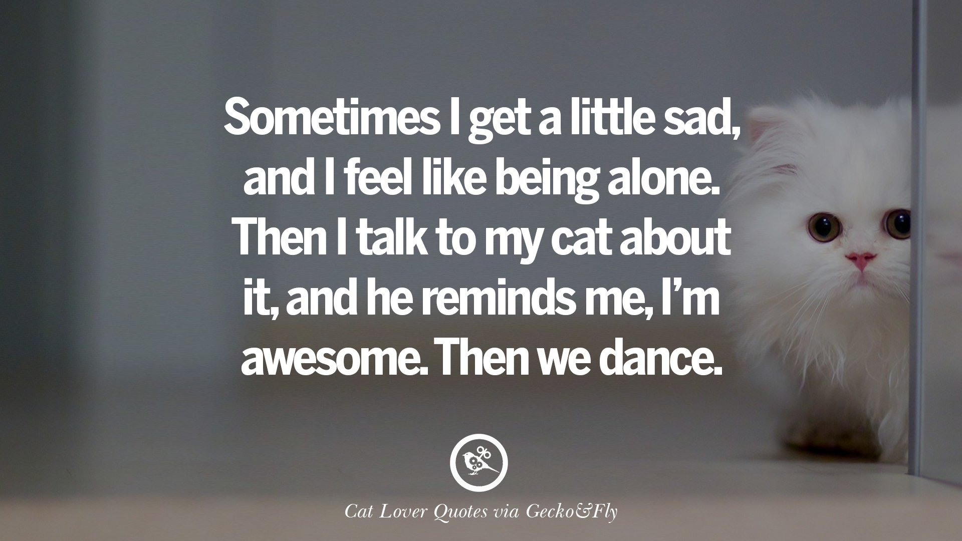 25 Cute Cat Images With Quotes For Crazy Cat Ladies, Gentlemen And Lovers