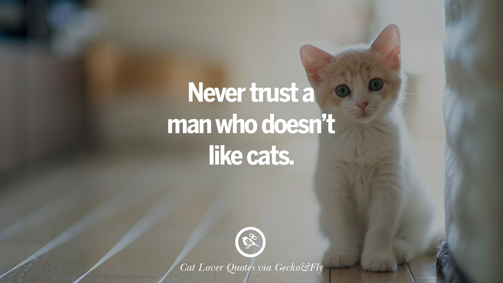 25 Cute Cat Images With Quotes For Crazy Cat Ladies Gentlemen And Lovers