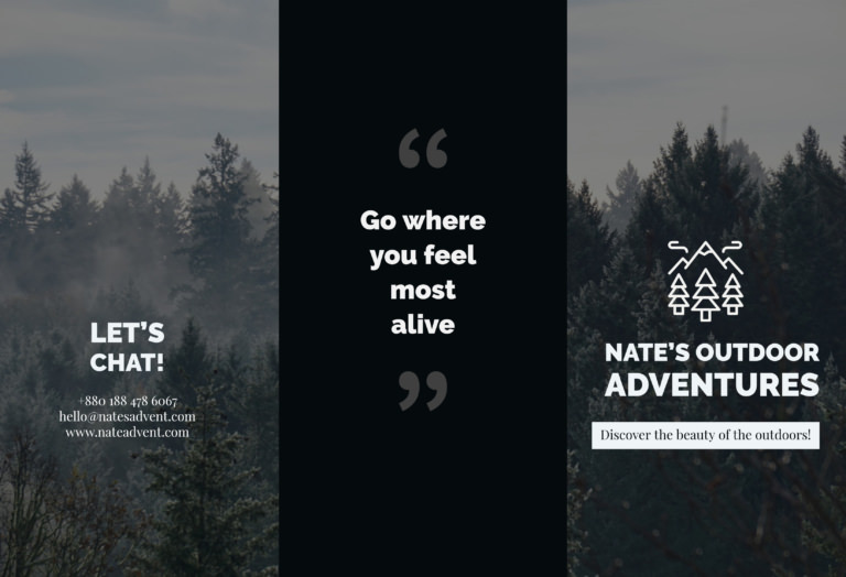 63 Free Editable Professional Brochure And Pamphlet Templates